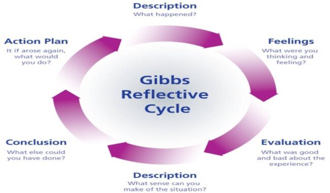 The 6 Stages Of Gibbs Reflective Cycle- A Complete Guide - DigitalGpoint