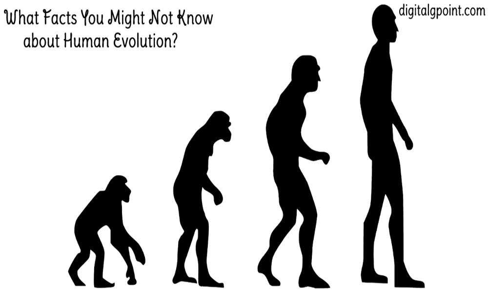 What Facts You Might Not Know About Human Evolution